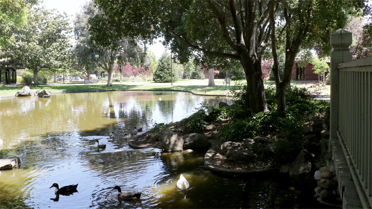 Fall water saving tips City of Menlo Park