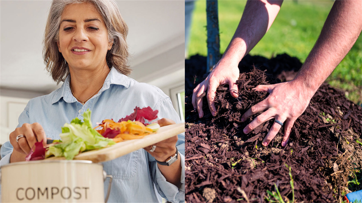 Join us for the Compost, Mulch and Soil Health Landscape Class Nov. 1 ...