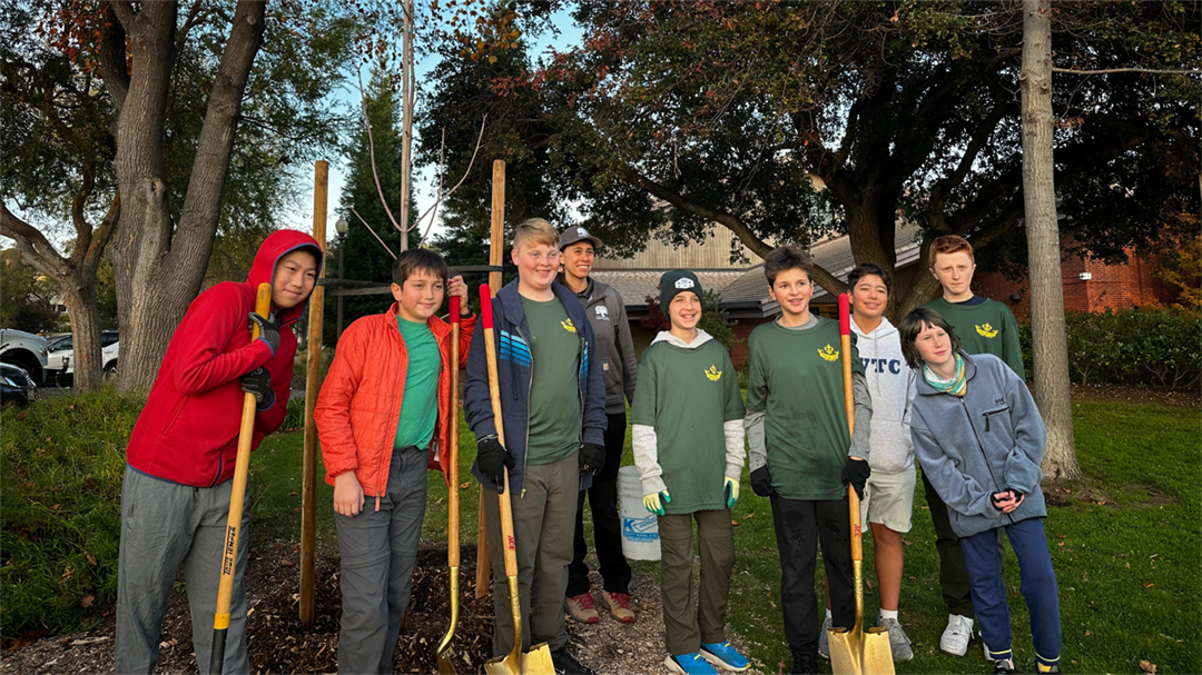 Scout Troop 109 plants trees with Menlo Park staff Dec. 4 City of Menlo ...